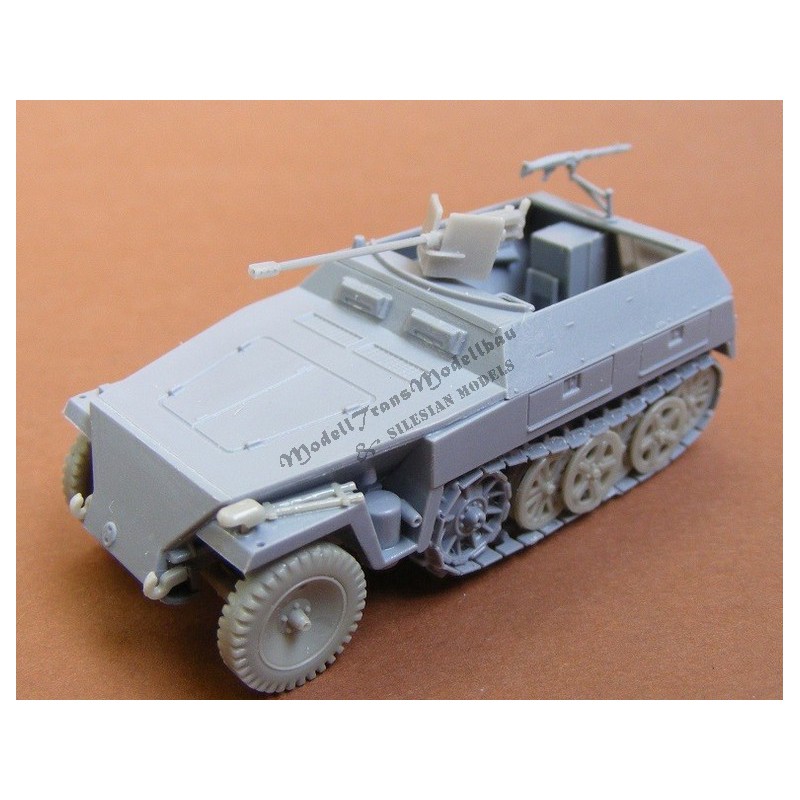 SdKfz 250/1 (neu) with 2 cm Solothurn gun.